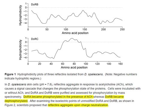 Transmembrane Vs Integral Protein Visualization Rmcat