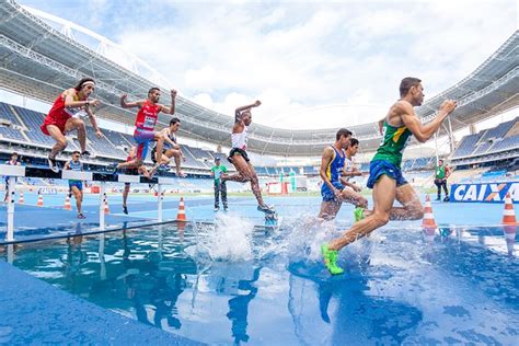 50 000 Free Sports Day And Sport Photos Pixabay