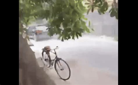 Shocking Video Man Hit From Behind By Thar Driver In Noida