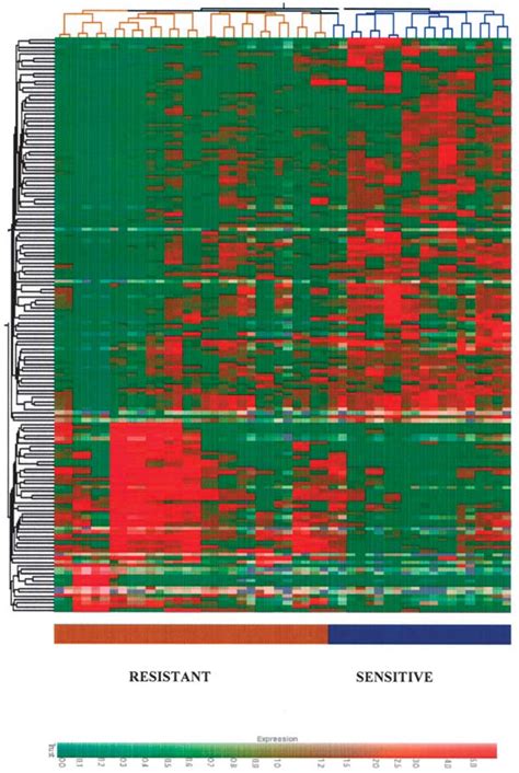 Hierarchical Clustering Of 25 Tumors In Duplicate Included In The Download Scientific Diagram