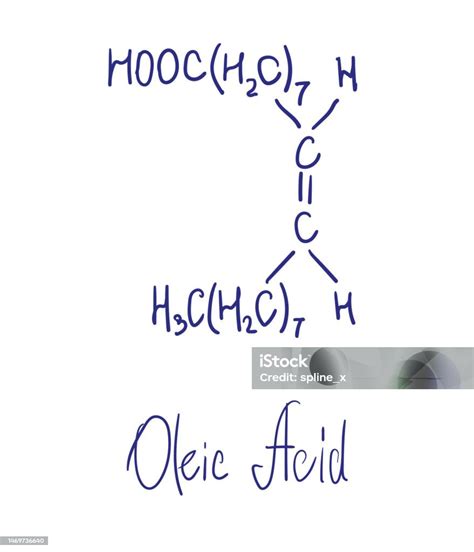 Struktur Kimia Asam Oleat Ilustrasi Vektor Gambar Tangan Ilustrasi Stok