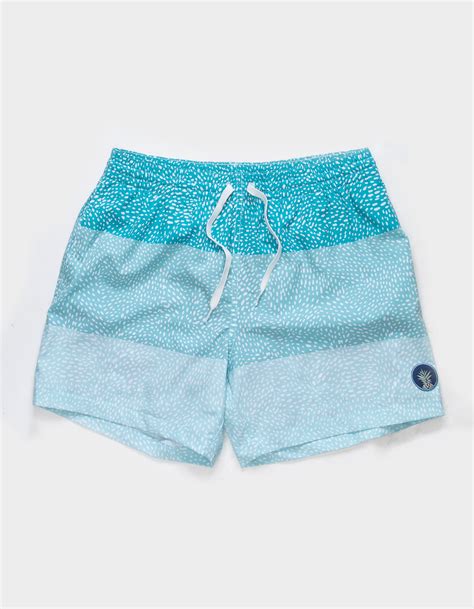 Chubbies Lined Classic Mens 5 5 Swim Trunks Blue Tillys