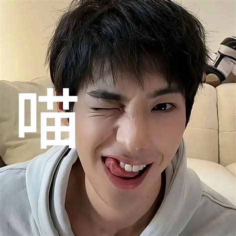 颜安表情包熊猫 抖音