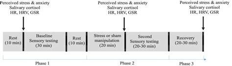 Sex Effects In The Interaction Of Acute Stress And Pain Perc Pain