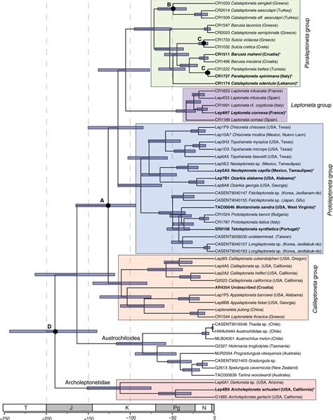 Csiro Publishing Invertebrate Systematics
