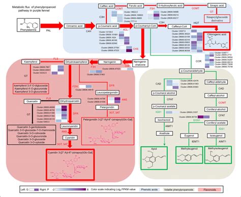 The Metabolic Flux Redirection In Phenylpropanoid Pathway Accounts