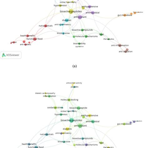 Keyword Maps Obtained From A Bibliometric Network Analysis And B Download Scientific Diagram