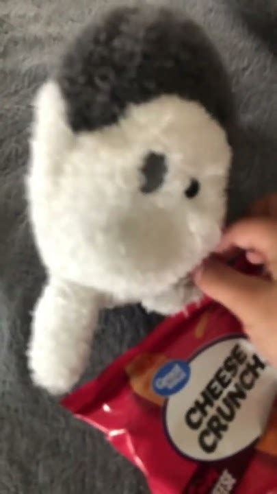 Chee🦶🏻tos🤢 Youtube