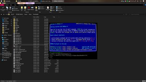 dosbox x doesn t actually go into fullscreen if the fullscreen