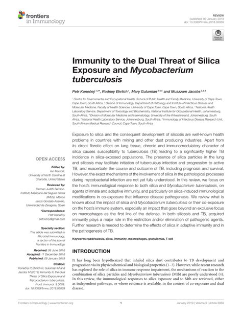 Pdf Immunity To The Dual Threat Of Silica Exposure And Mycobacterium Tuberculosis