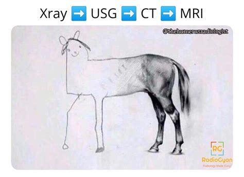 Radiology Memes Collection