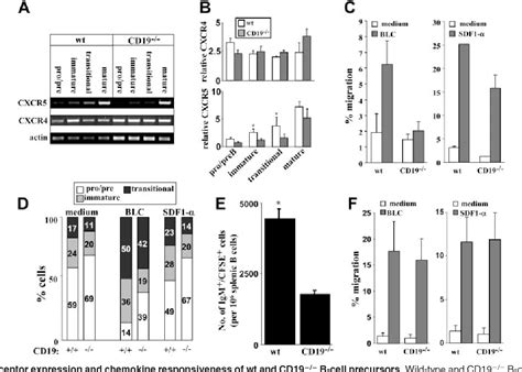 Figure 2 From Cd19 Regulates Positive Selection And Maturation In B