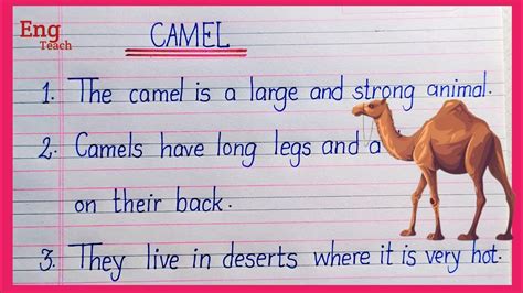 Essay On Camel In English Essay On Camel English Writing