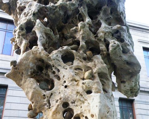 Scholar Rock Assignment Niaraquel