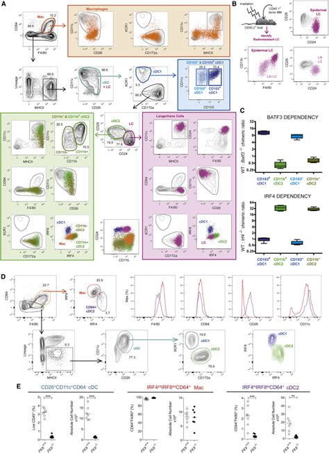 Unsupervised High Dimensional Analysis Aligns Dendritic Cells Across