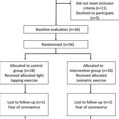 Flow Diagram Of This Randomized Controlled Trial Download Scientific