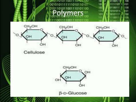 Ppt Ch 5 The Structure And Function Of Large Biomolecules