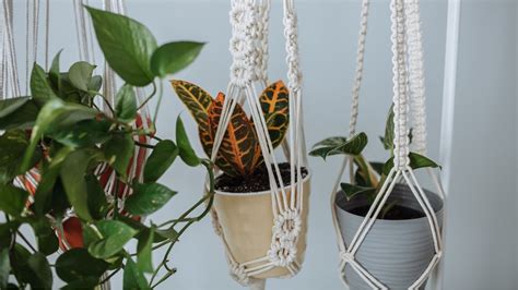how to make a macrame plant hanger sixty and me