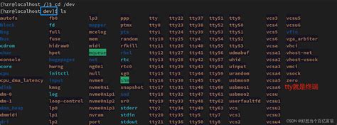 linux文件系统详解：结构、重要目录与文件类型 csdn博客