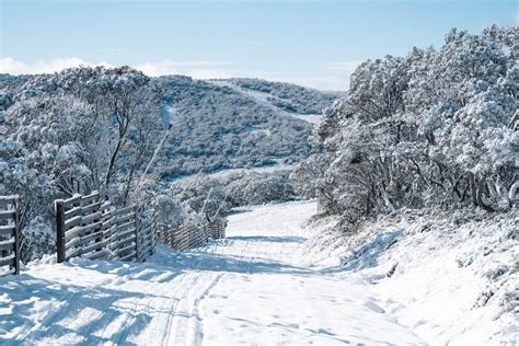 Winter In Victoria Australia 10 Days Until The Start Of Winter In