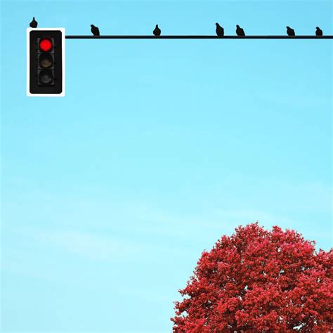 Pare Discover The Wall Art By Pascal Krumm Now