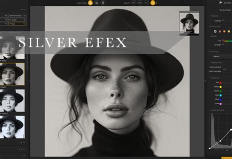 Nik Silver Efex Black And White Photographers Editing Software