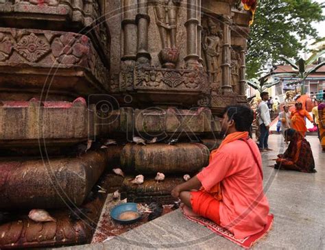 Image Of Assamese Hindu Devotees Celebrating Ambubachi Mela In