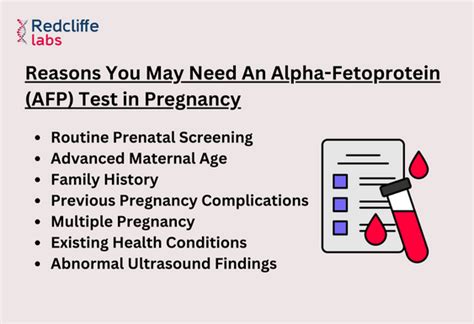 Afp Maternal Marker Test Price Procedure Purpose 2025