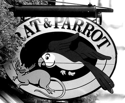 Rat And Parrot Pub Signs Shingling Sign Meaning