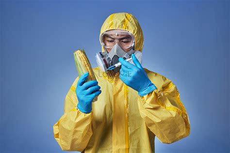 Inspector Injects Corn With Medicine Picture And HD Photos | Free ...