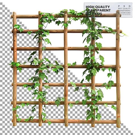 Plant Support Structure Images Free Download On Freepik