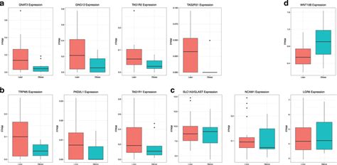 Analysis Of Taste Gene Expression Taste Markers And Receptors
