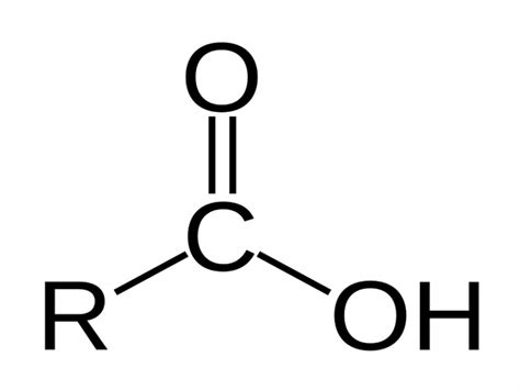 Carboxylic Acid Examples And Uses Studiousguy