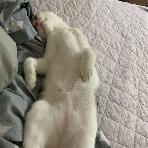 최달미네 Runcrazydalmi • Threads Say More