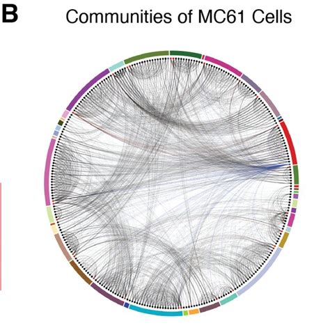 A Clustering At χ 075 Reveals A Distinct Spatial Tiling Pattern In