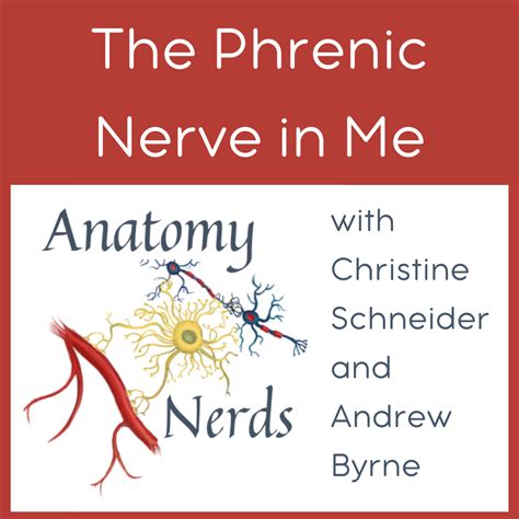 The Phrenic Nerve In Me The Singing Athlete