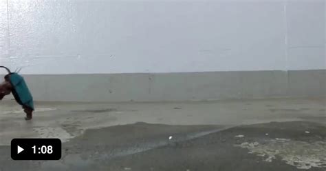 Thomas Assault Type Version 20 9gag