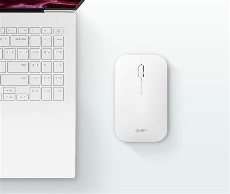 LG Wireless Mouse AAA Battery With Low Noise | LG UAE