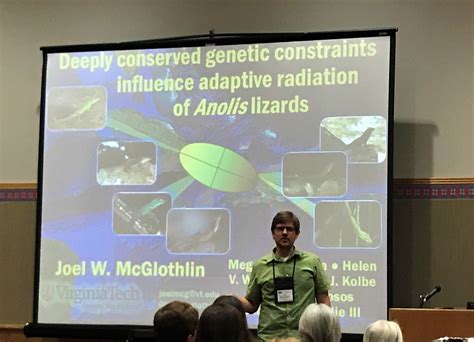 Evolution 2017 Genetic Constraints In The Anolis Adaptive Radiation