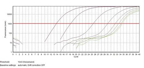 Low Qpcr Efficiency Researchgate