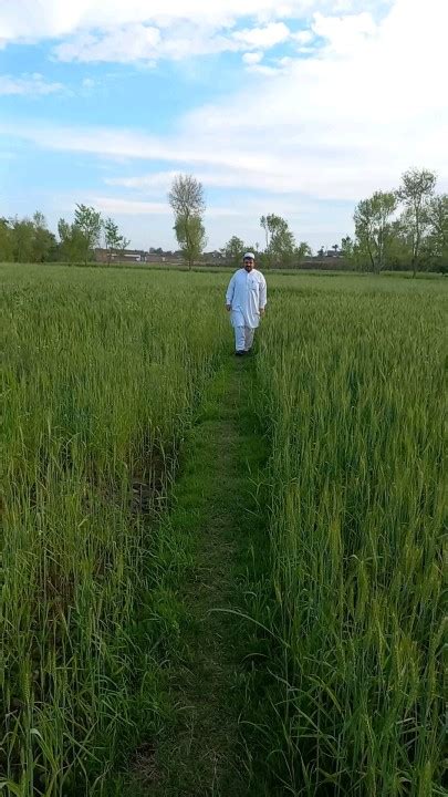 Imran Wazir On Linkedin Enjoying Mature At Village