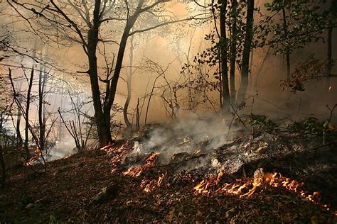 What Are The Differences Between A Ground Fire And A Surface Fire Worldatlas