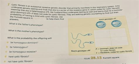 Solved Cystic Fibrosis Is An Autosomal Recessive Genetic
