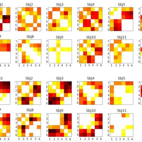 Intra Subject Variability Analysis The Dissimilarity Coefficient