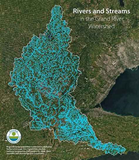 Lara Fox On Linkedin Worldriversday Grca