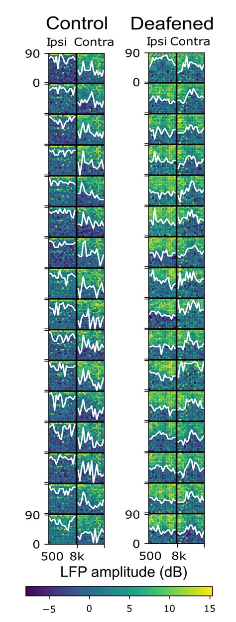 Ensemble Neuron Activity In The Inferior Colliculus Download