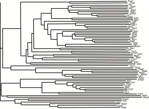 Figure S1 Dendogram Of The Phylogenetic Tree Shown In Fig 1 Proteins
