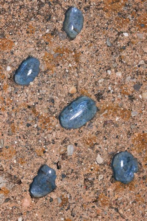 Glassy Pebbles Embedded In Concrete Wall Stock Image Image Of