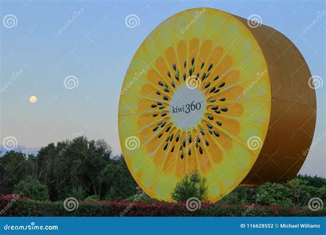 Giant Kiwifruit Sculpture And Moon Te Puke Nz Editorial Photography