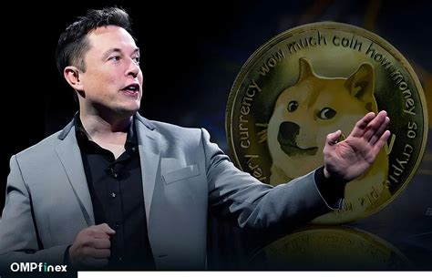 تحلیل‌گران منتظر تصمیمات ایلان ماسک برای دوج کوین 2 دلاری وبلاگ او ام پی فینکس